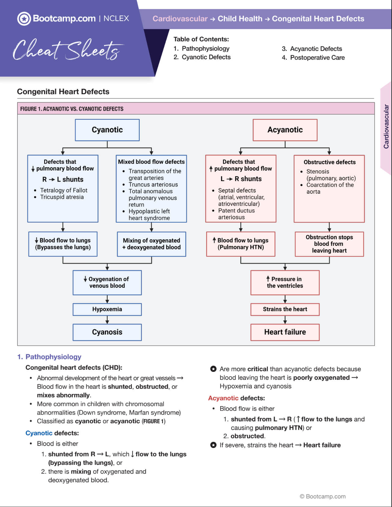 Congenital Heart Defects Cheat Sheet | NCLEX® Bootcamp